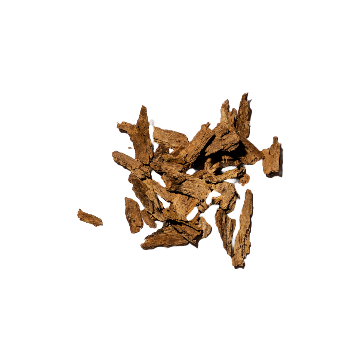 Cramp Bark | Xulita Journal | Xula Herbs